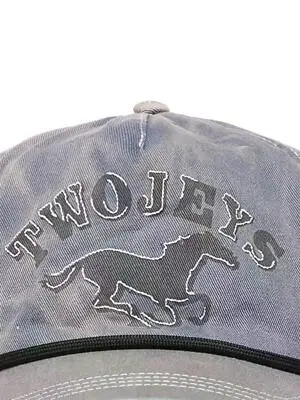 TWOJEYS Sunfaded Logo Cap