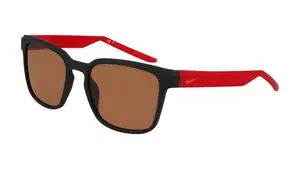 Nike Livefree Iconic Sunglasses - Black/brown