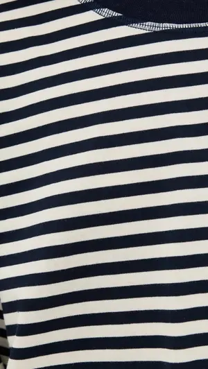 Lioness Bloom Long Sleeve - Navy Stripe