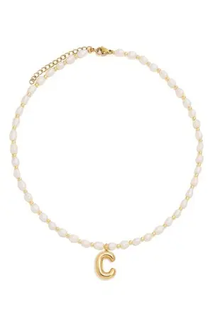 PETIT MOMENTS Dainty Initial Pendant Necklace Gold-c