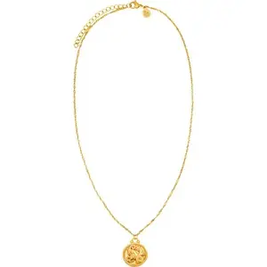 PETIT MOMENTS Horoscope Pendant Necklace - Goldapricorn