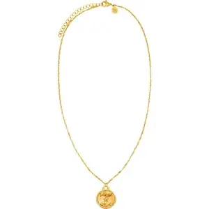 PETIT MOMENTS Horoscope Pendant Necklace - Goldisces
