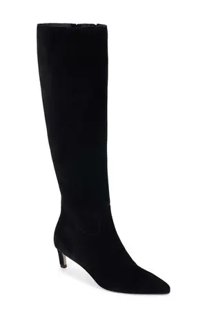 Matisse Elevate Pointed Toe Knee High Kitten Heel Boot - Black