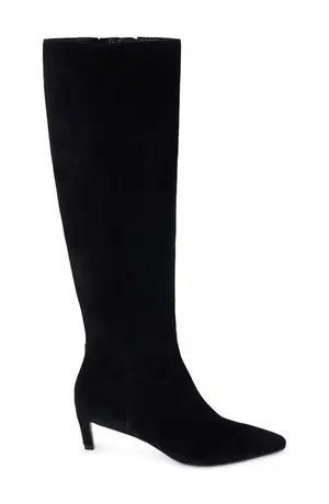 Matisse Elevate Pointed Toe Knee High Kitten Heel Boot - Black