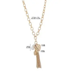 Bcbgmaxazria Heart Charm Chain Necklace