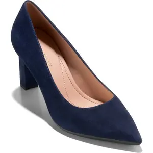 Cole Haan Pointed Toe Pump - Midnight Moon Suede