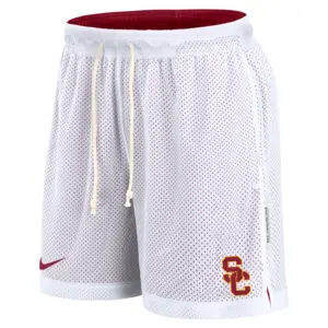 Nike Shorts For Men