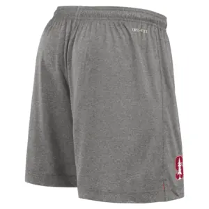 Nike Stanford Cardinal Player Dri-fit College Shorts