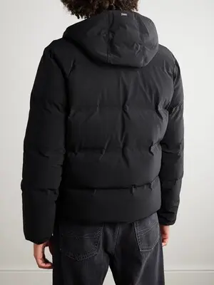 Herno Quilted Stretch-nylon Hooded Down Jacket