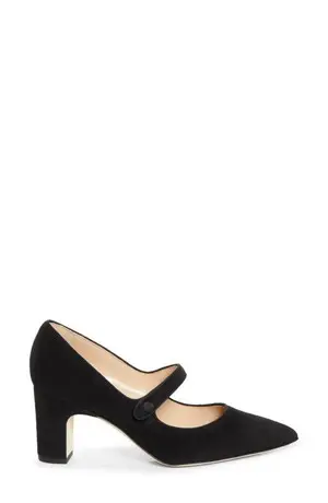 Manolo Blahnik Campariba Pointed-toe Mary Jane Pumps