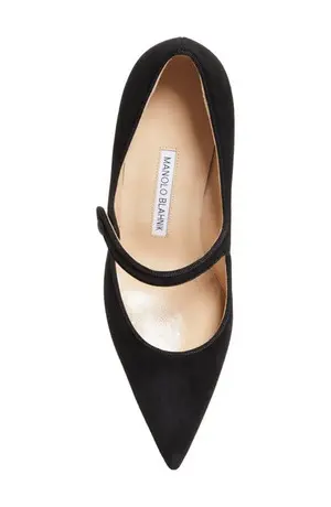 Manolo Blahnik Campariba Pointed-toe Mary Jane Pumps