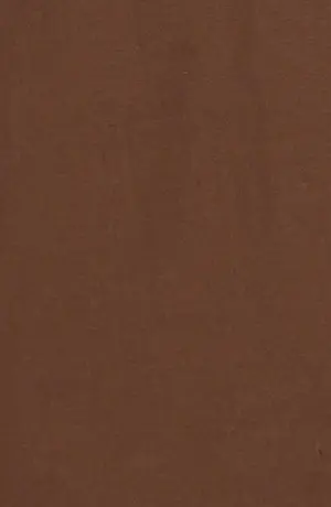 PETAL & PUP Ember Strapless Tunic Top - Brown