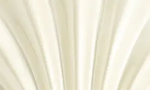 Jw Pei Maisie Shell Clutch
