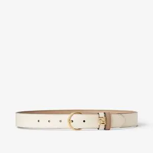 Fendi Reversible Belt With Ff Logo - Multicolour