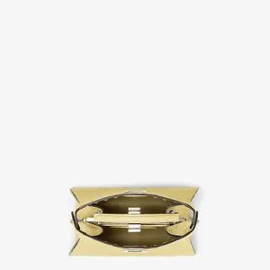 Fendi Peekaboo Iseeu Petite Bag