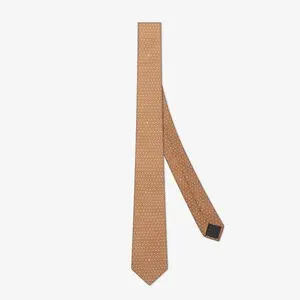 Fendi Silk Necktie - Brown