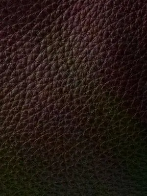Prada Triangle-logo Shoulder Bag