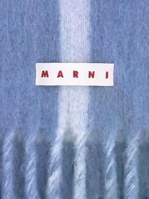 Marni Striped Fringed Scarf - Blue