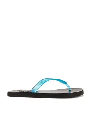 Hollister Flip Flops