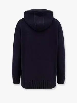 Max Mara Liana Cashmere And Wool Hooded Sweater