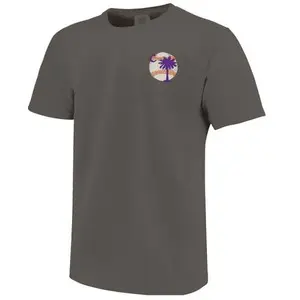 IMAGE ONE Clemson Tigers Palmetto C Baseball T-shirt