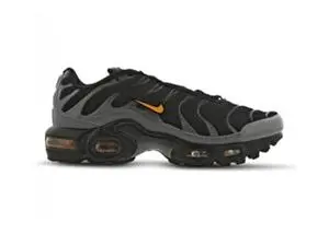 Nike Air Max Plusin Sneakers