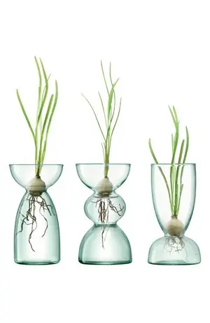 LSA Canopy Recycled Glass Vase Trio