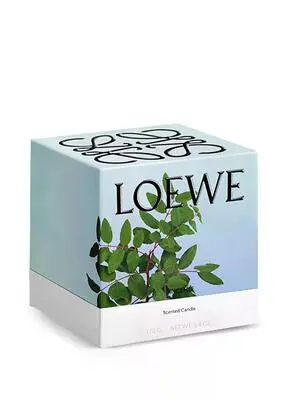 Loewe Candela Ribbed Candle