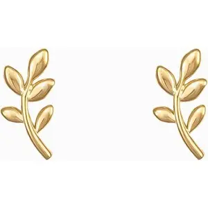 BEARFRUIT JEWELRY Stud Earrings - Gold