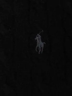 Polo Ralph Lauren Wool And Cashmere Sweater With Embroidered Logo - Black