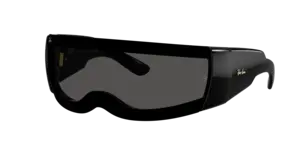 Ray-ban Sunglasses - Ultra Black