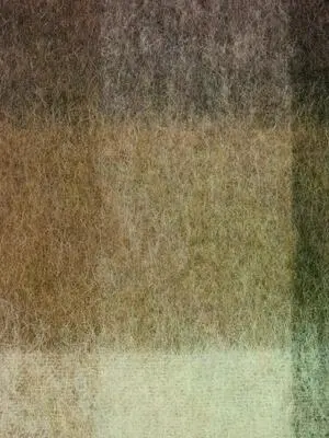 Acne Studios Checked Fringed Scarf