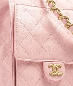 Chanel 25 Handbag - Light Pink