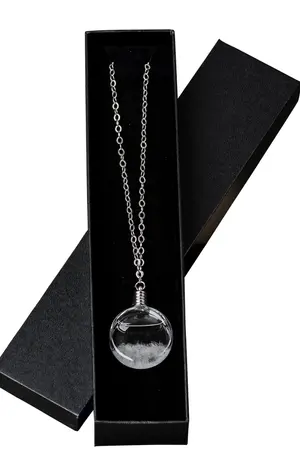 HEEBIE JEEBIES Storm Glass Silver Plated Pendant Necklace
