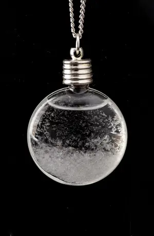 HEEBIE JEEBIES Storm Glass Silver Plated Pendant Necklace