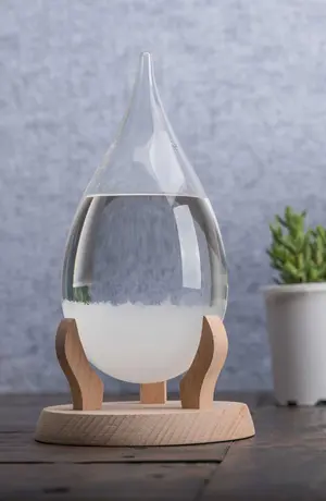 HEEBIE JEEBIES Teardrop Fitzroy's Storm Glass