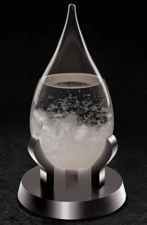 HEEBIE JEEBIES Teardrop Fitzroy's Storm Glass