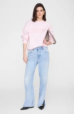 ANINE BING Crewneck Pullover Sweatshirt - Powder Pink
