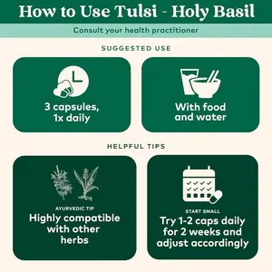ORGANIC INDIA Tulsi Holy Basil 90 Capsules