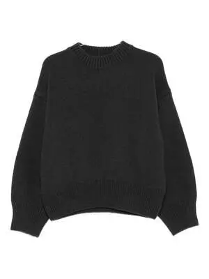 Alysi Crewneck Sweaters For Women