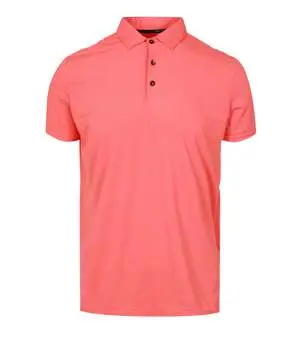 Rrd Collared Polos For Men