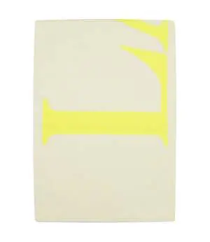 LANVIN Scarfs - Bianco+giallo Fluo