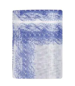 PHILOSOPHY BY LORENZO SERAFINI Scarfs - Clear Blue