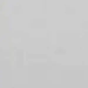Celine Metal Triomphe Cat Eye Sunglasses - Grey