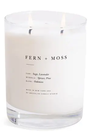 BROOKLYN CANDLE STUDIO Fern Moss Classic 2-wick Candle - Fern + Moss