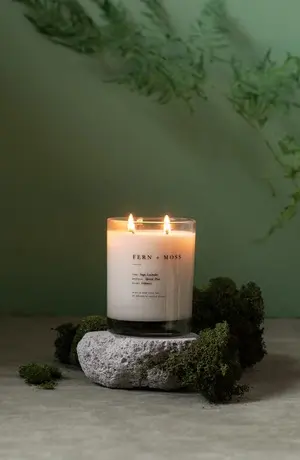 BROOKLYN CANDLE STUDIO Fern Moss Classic 2-wick Candle