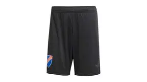 Adidas Anniversary Shorts