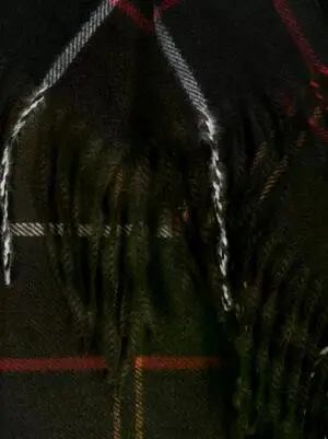 Barbour Check-pattern Fringed Scarf
