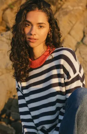 ELLSWORTH + IVEY Sadie Crewneck Sweater Stripes