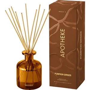 APOTHEKE Pumpkin Ginger Reed Diffuser Rust/copper